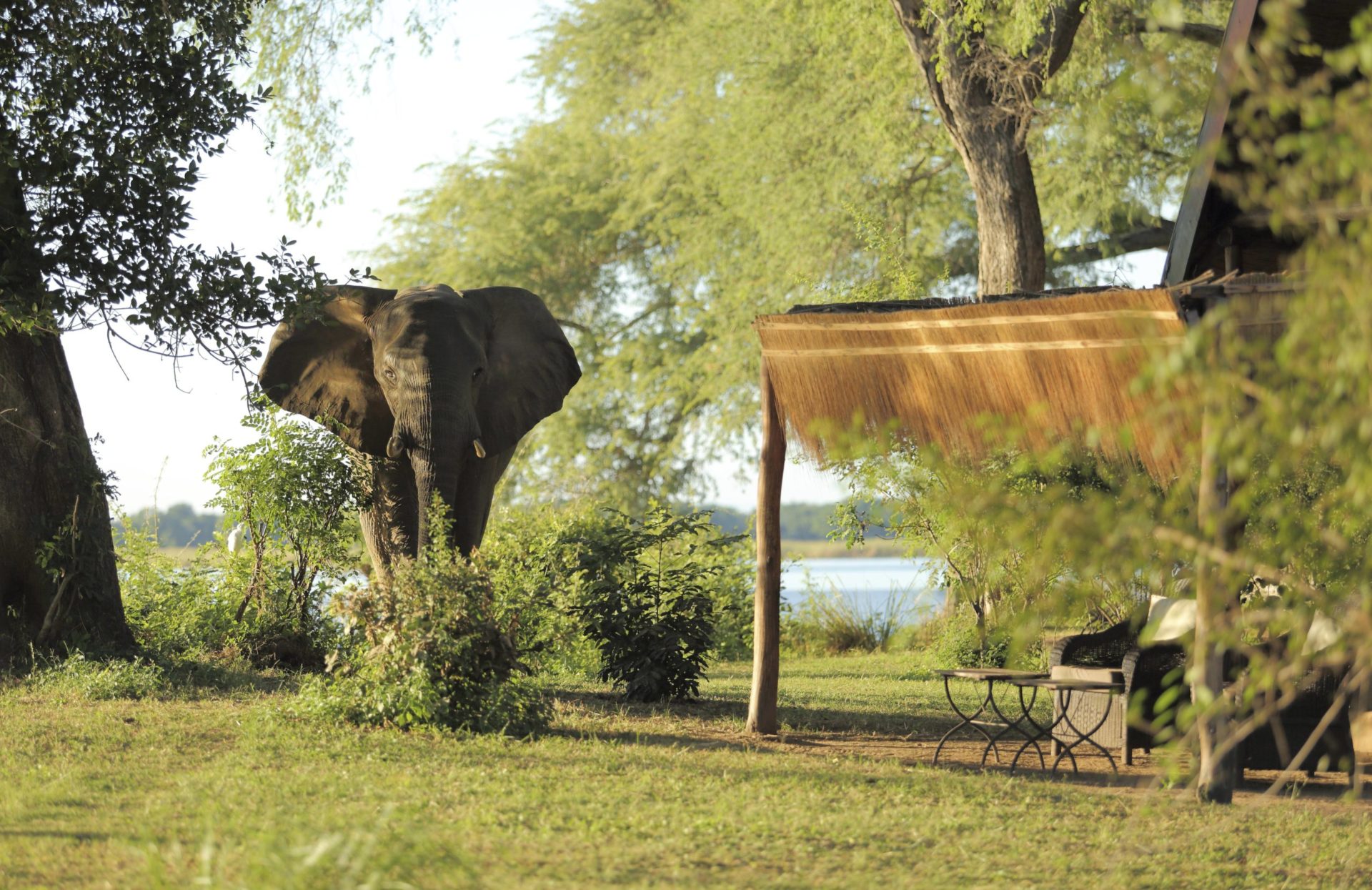 Chongwe River Camp - Afrika Reise & Safari Spezialist in Österreich