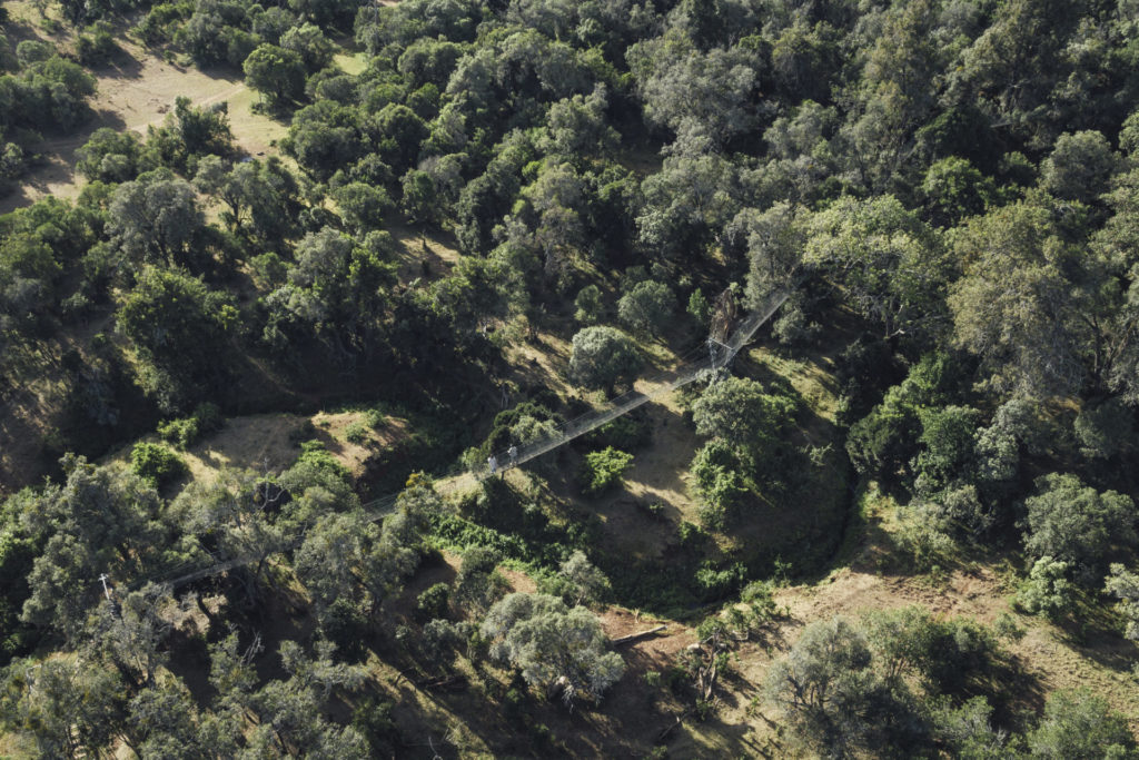 Lewa House - Afrika Reise & Safari Spezialist in Österreich