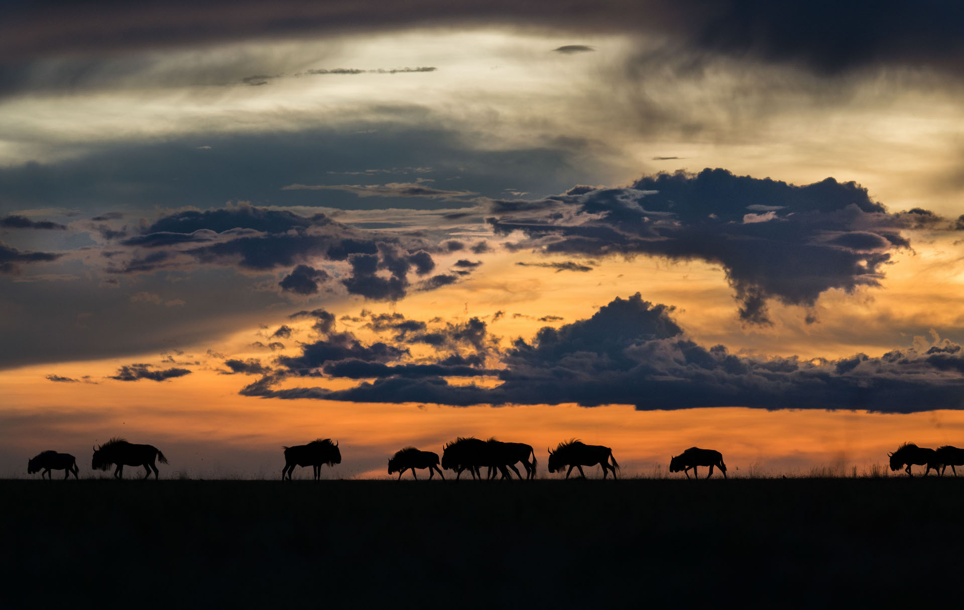 King Lewanika Lodge - Afrika Reise & Safari Spezialist in Österreich